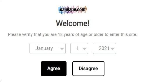 Age Verification Pop-up: How to Add One to Your Website — Claspo.io